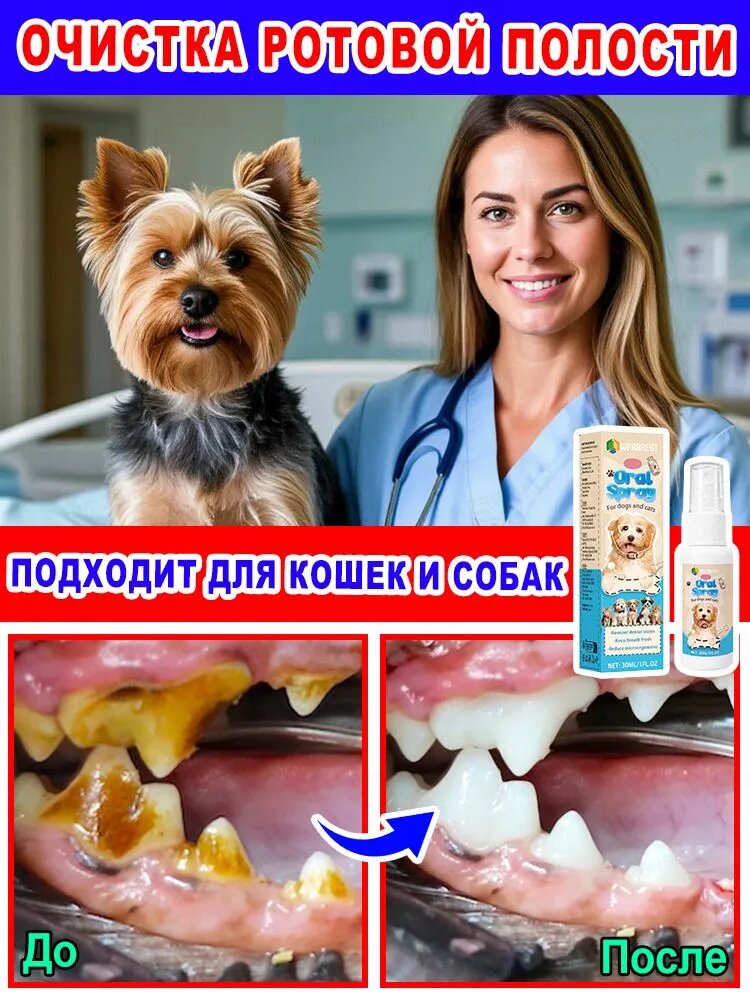 Средство для чистки полости рта животных: бережный уход, эффективная очистка без раздражения