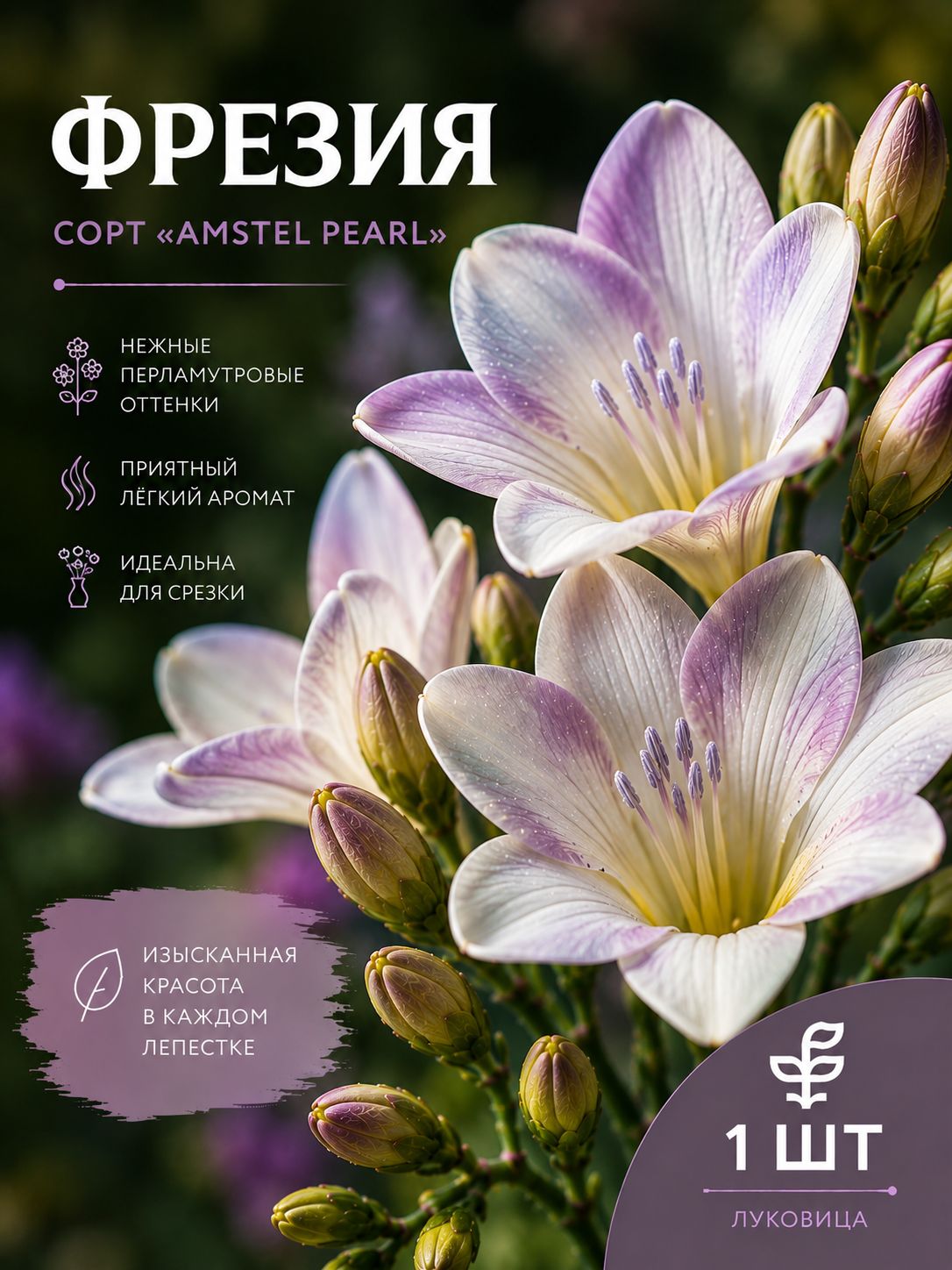Фрезия луковицы многолетние 1 штука