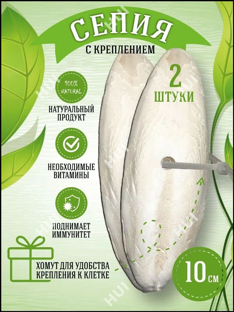 Сепия 10 см 2 штуки панцирь каракатицы для попугаев, корм для птиц