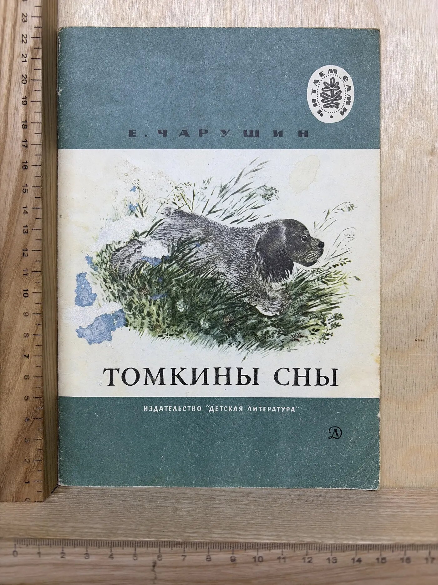 Томкины сны