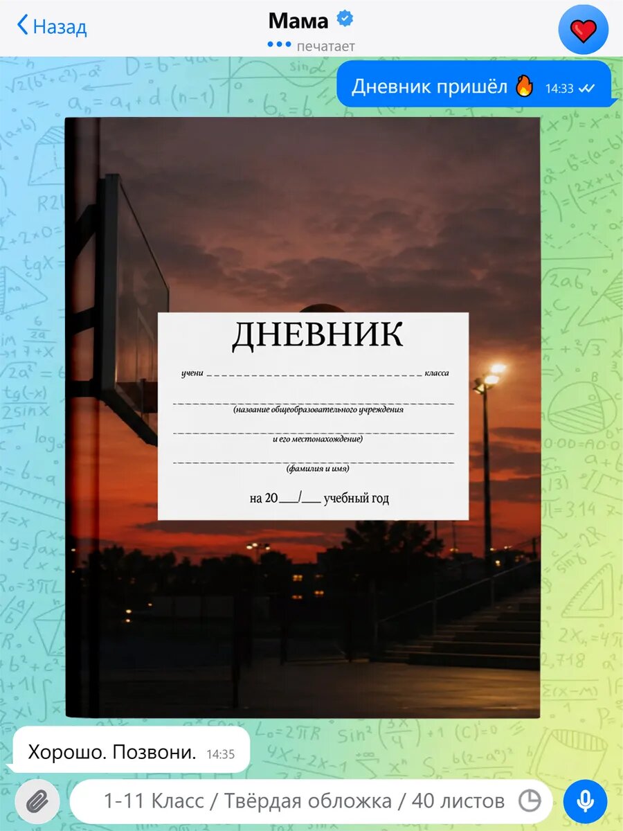 Школьный дневник с принтом Роблокс