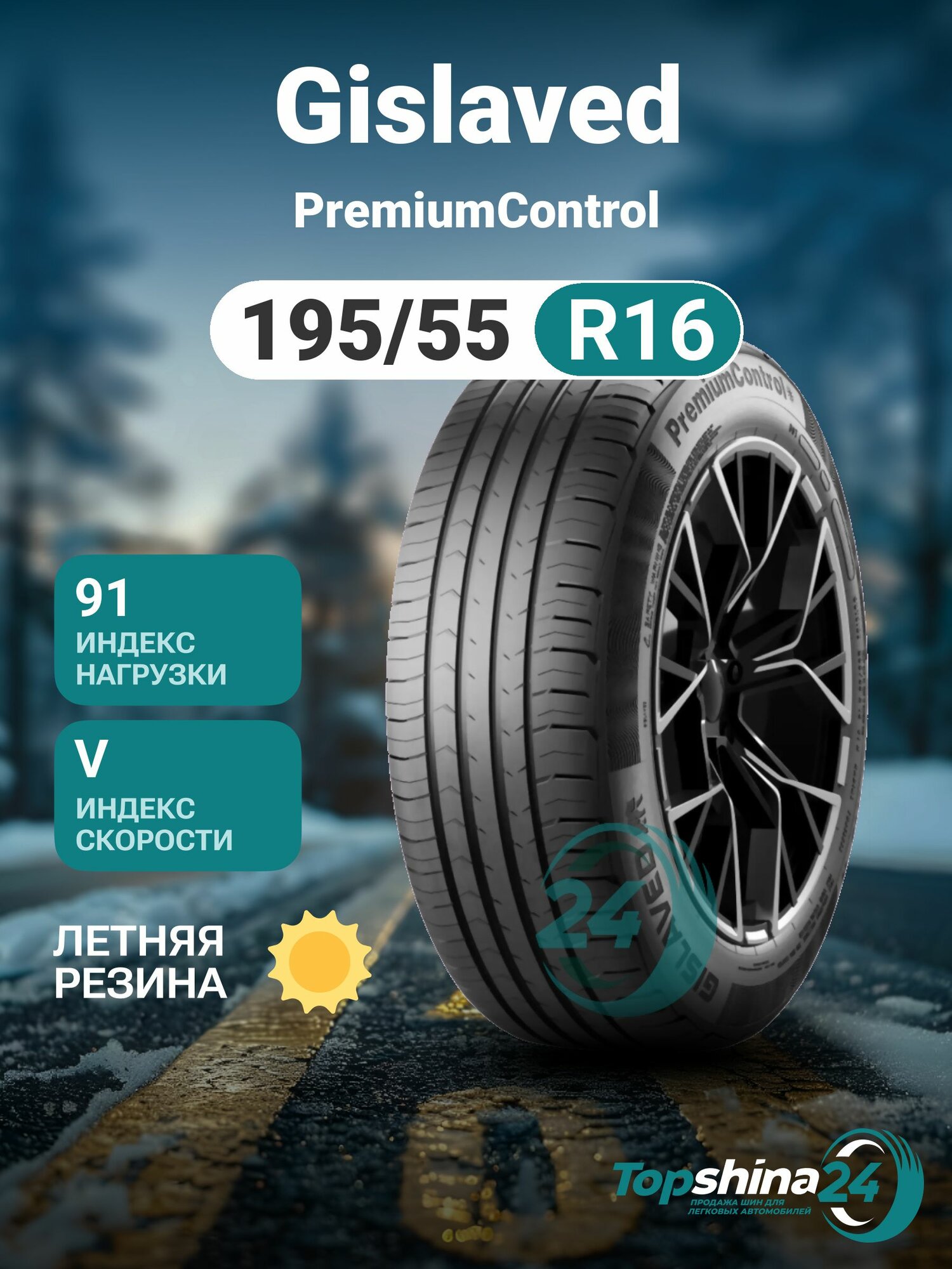 Шины летние Gislaved PremiumControl 195/55 R16 V91