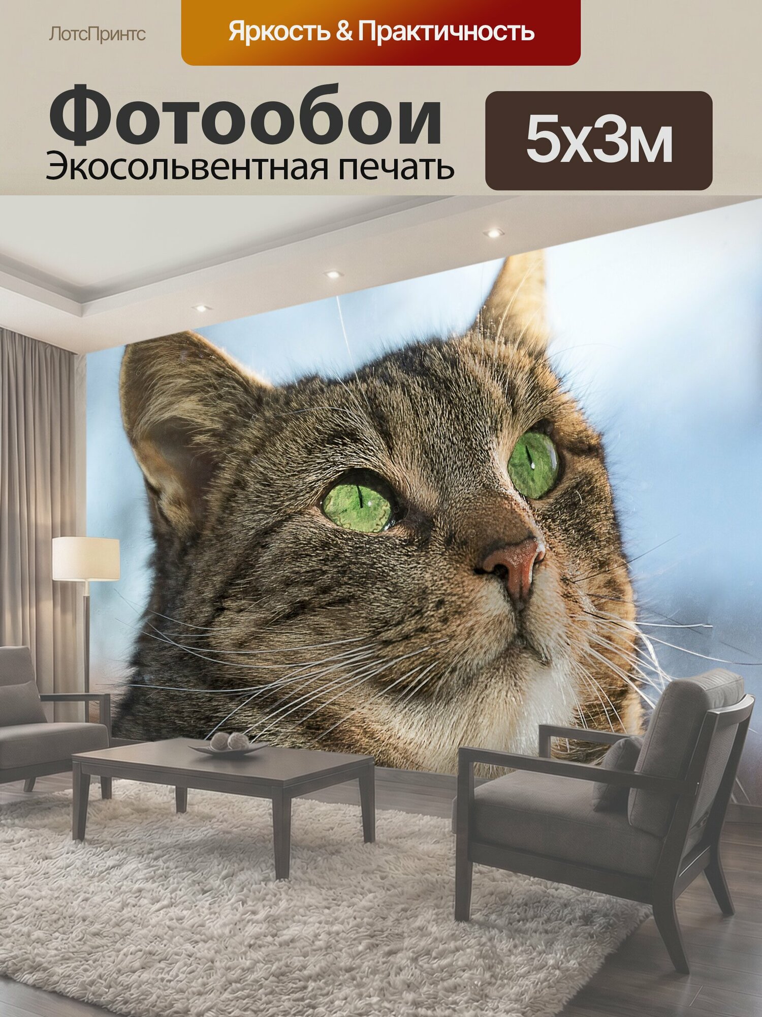 Фотообои "Кот, стеклянная панель, зеленые глаза" 500x300 см. экосольвентная печать