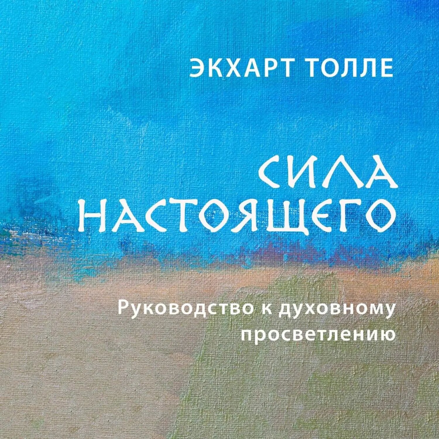 Сила настоящего. Руководство к духовному просветлению [Аудиокнига]