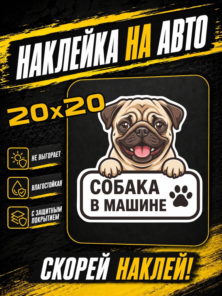 Наклейка на авто Собака в машине мопс