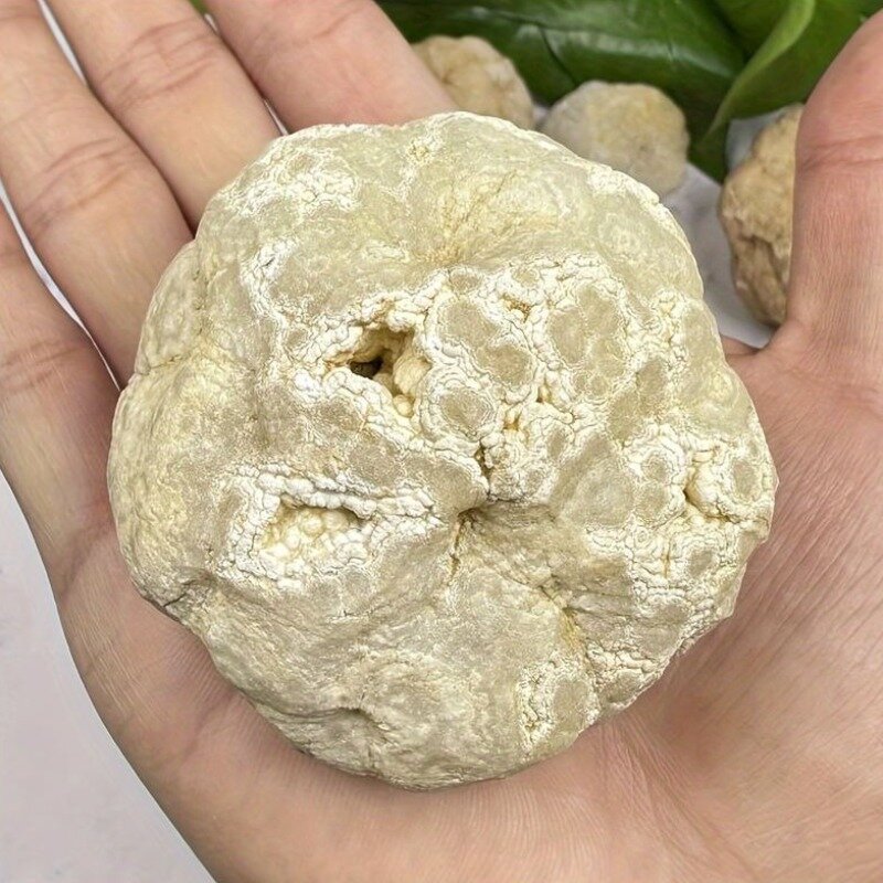 Неоткрытый агатовый геоде в форме яйца, вес 165–220 г, кристаллический образец породы, декор для дома и офиса