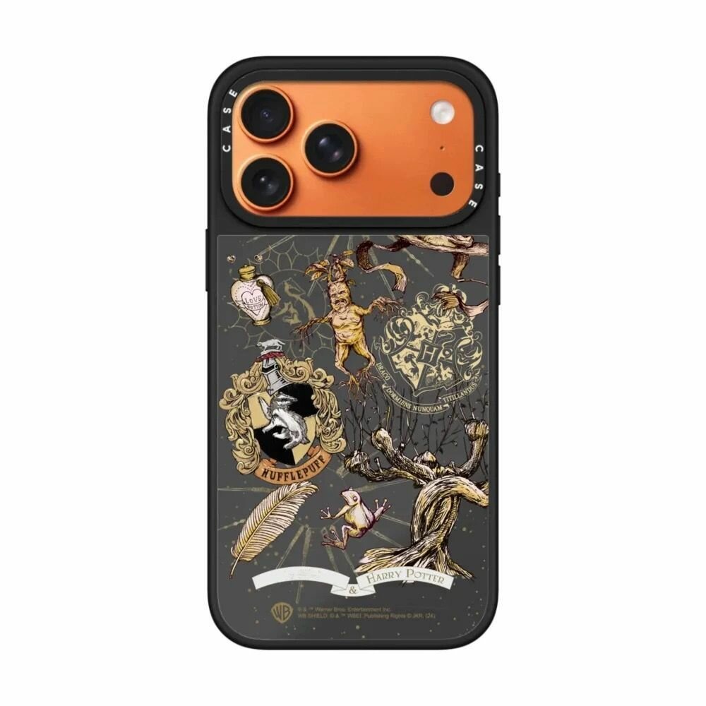 Чехол для мобильного телефона Harry Potter подходит для Apple iPhone 17 Pro, полупрозрачное серебряное зеркало, с магнитным всасыванием