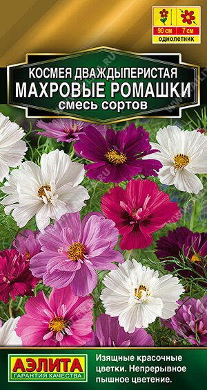 Семена аэлита "Космея Махровые Ромашки", для палисадников и цветников, высота 60 см