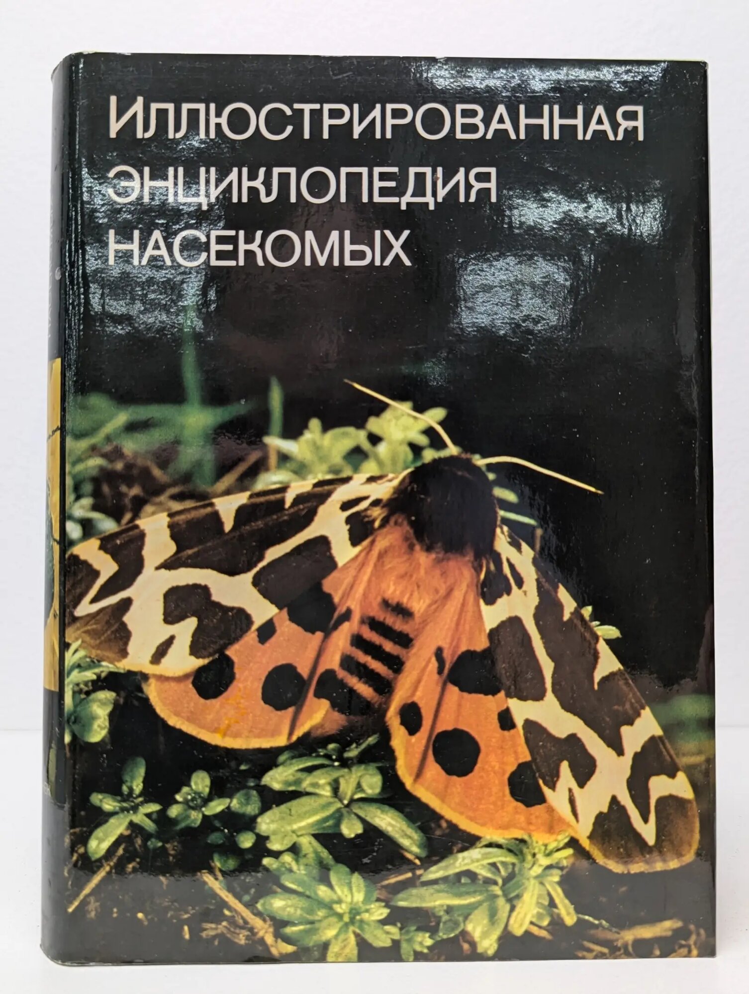 Иллюстрированная энциклопедия насекомых Станек Владимир Я. 1977