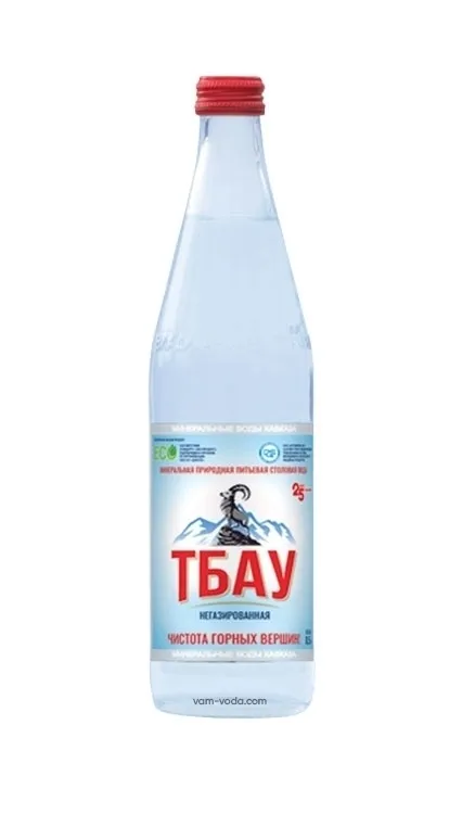 Вода минеральная столовая Тбау 20 шт. по 0,45 л негазированная, стекло
