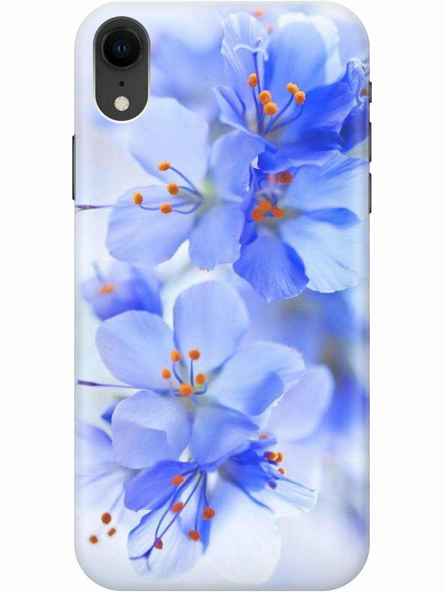 Силиконовый чехол на Apple iPhone XR / Эпл Айфон Икс Эр с рисунком "Лазурные орхидеи"