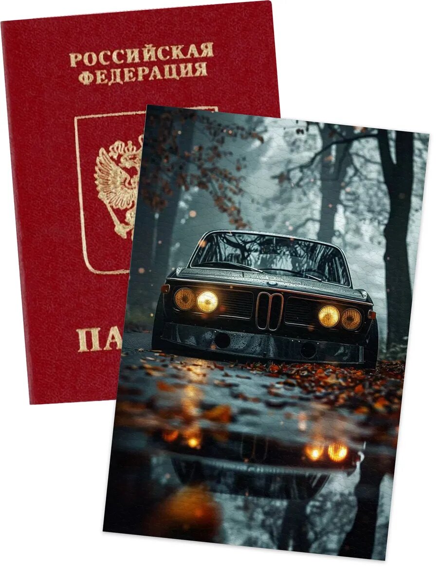 Обложка для паспорта