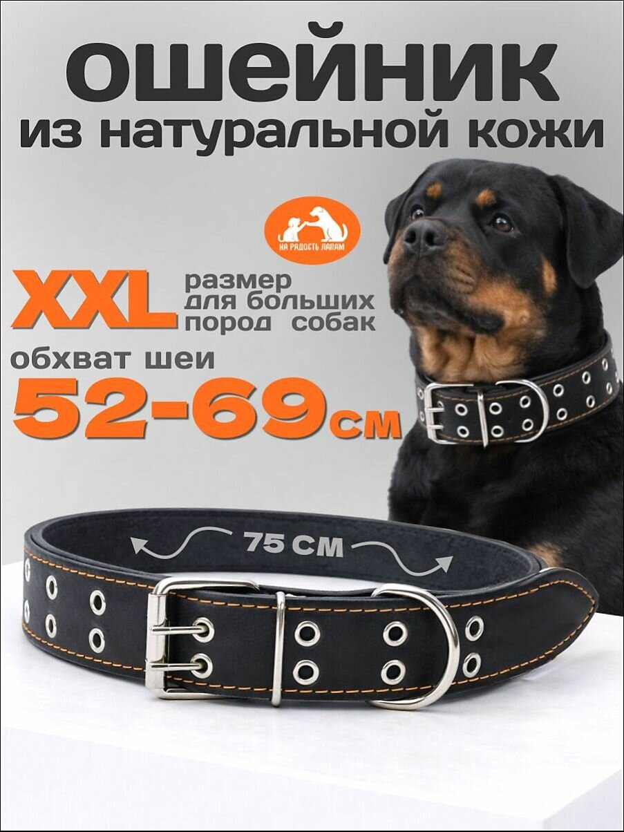 Ошейник для собак кожаный безразмерный , для крупных пород, ширина 4.5 см