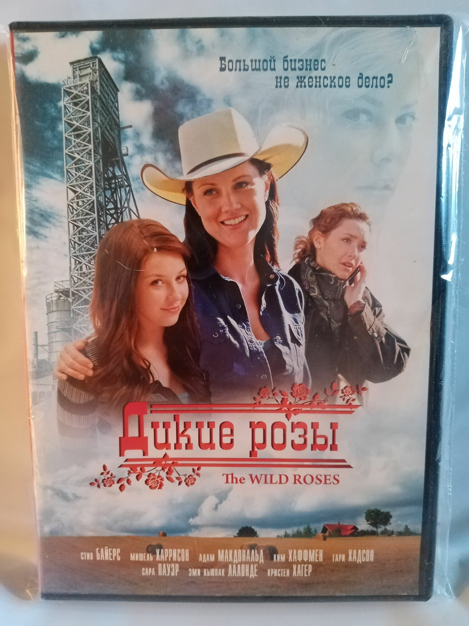Дикие розы