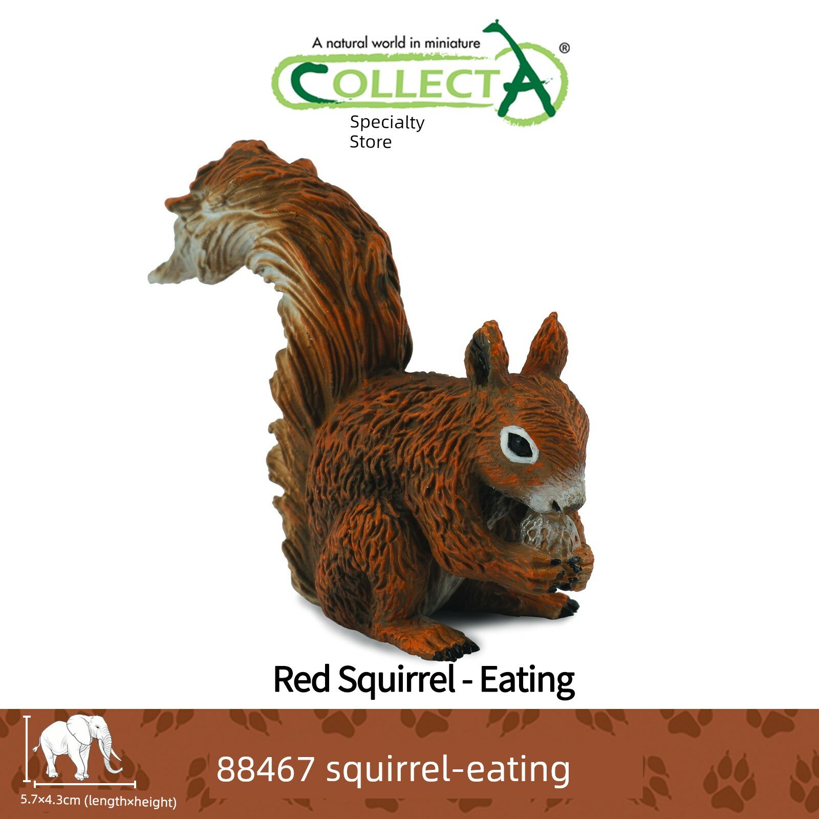Модель белки CollectA, едящая, образовательная игрушка, 1:12 масштаб, 13 см