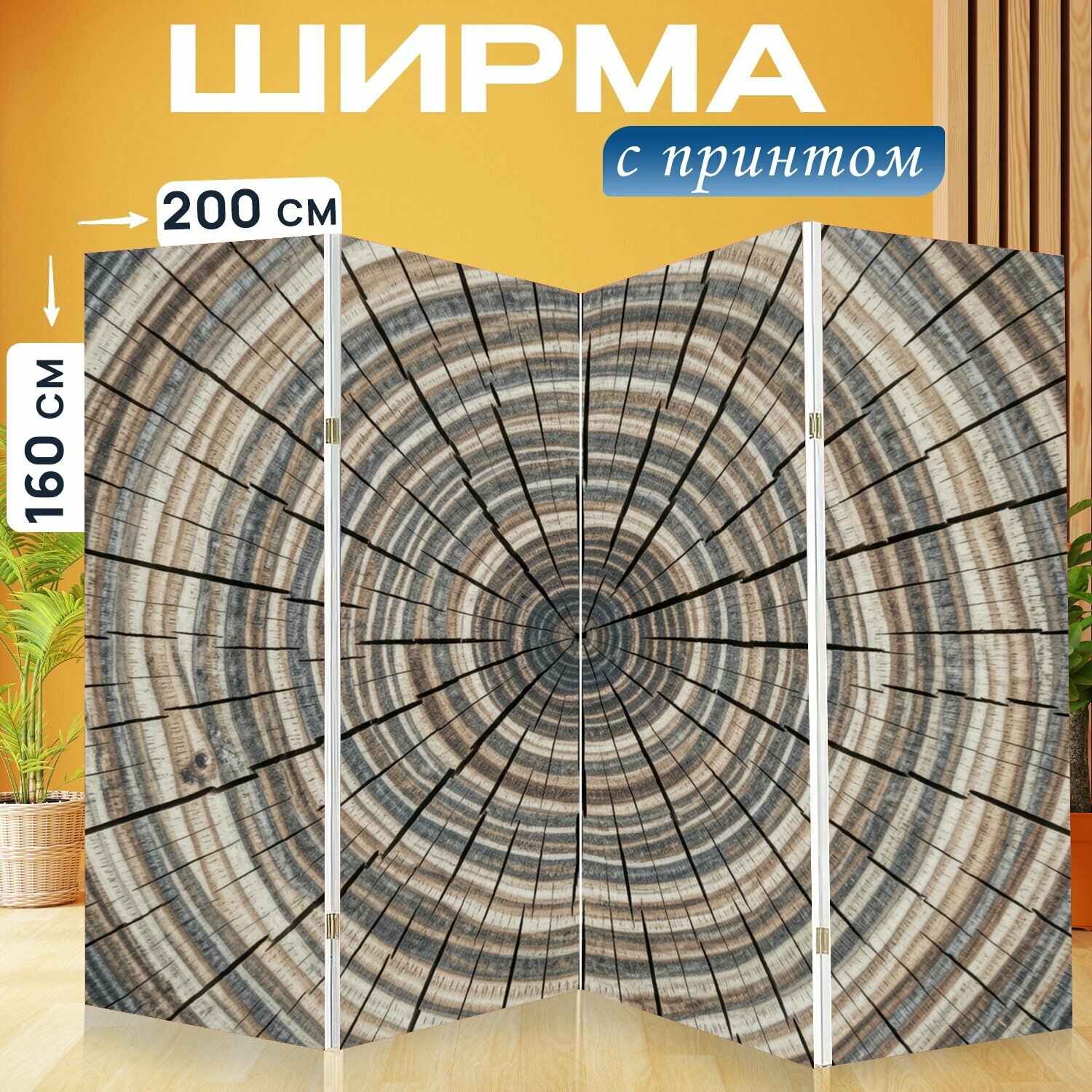Ширма "Срез древесины с концентрическими кольцами. Крупный план спила дерева с выразительными годичными." перегородка для зонирования комнаты с принтом 200x160 см. на холсте