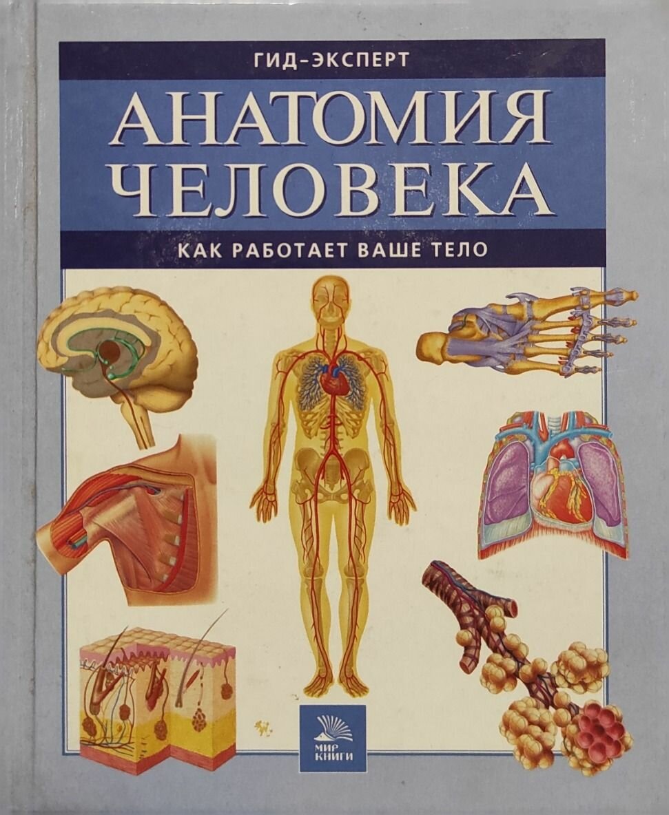 Анатомия человека. Как работает ваше тело. Не указан. Мир книги. 2006. Твердый переплет. 320 стр