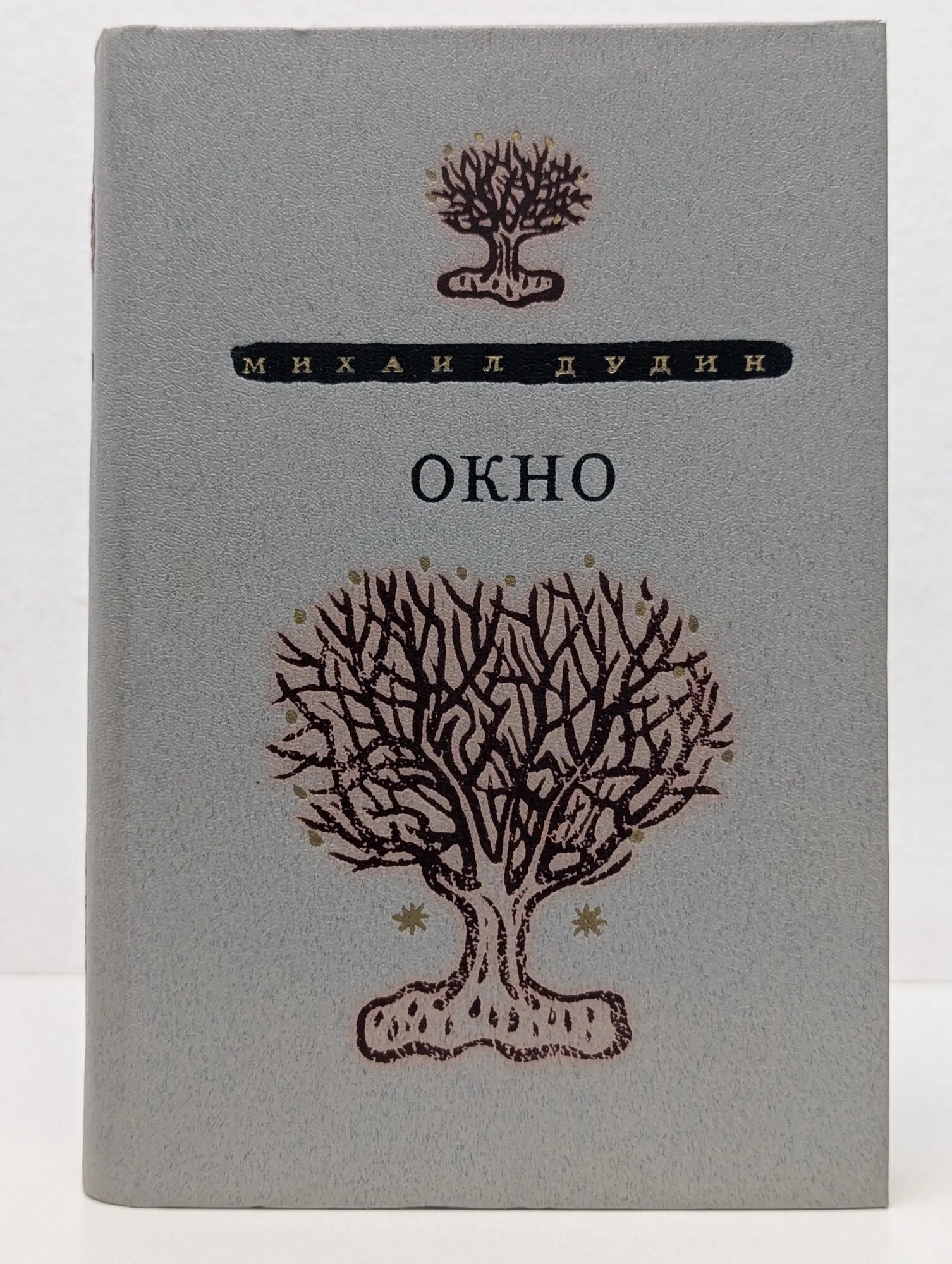 Окно Дудин Михаил Александрович 1981
