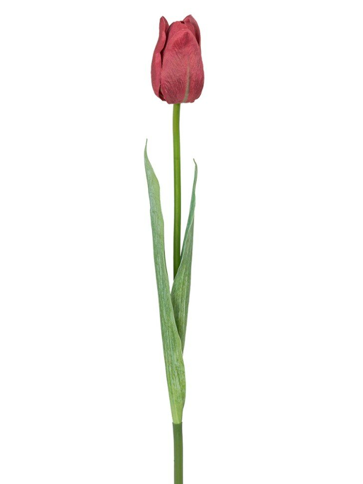 Fiebiger Floristik 203612-520 Цветок декоративный "Тюльпан", 50 см