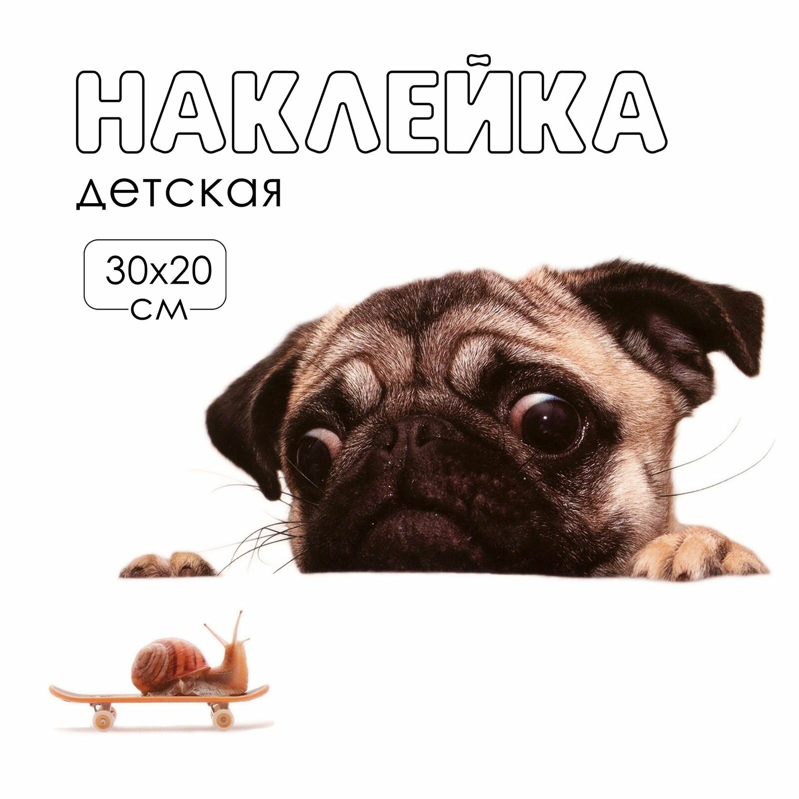 Интерьерные наклейки "Собака" на стену, пол и потолок