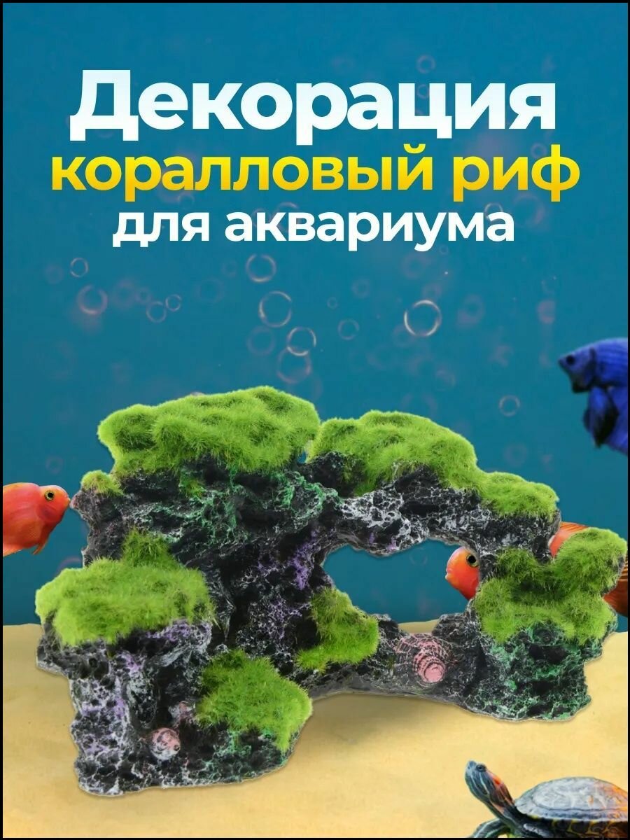 Декорация для аквариума риф мох