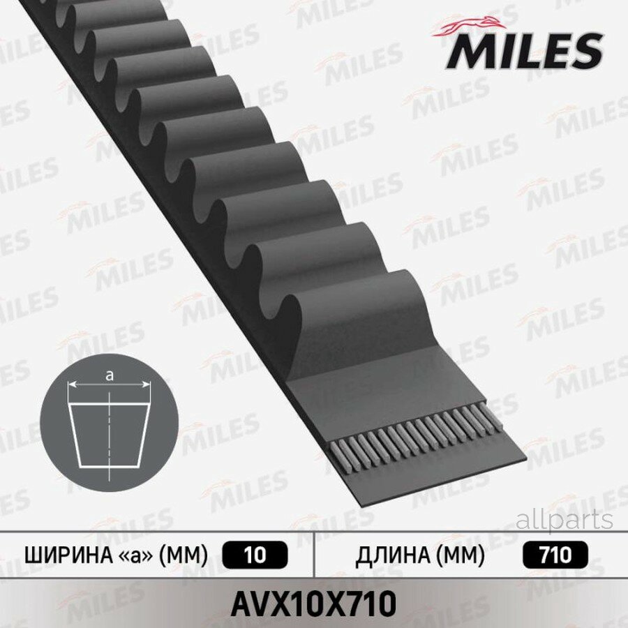 MILES AVX10X710 Ремень приводной клиновой