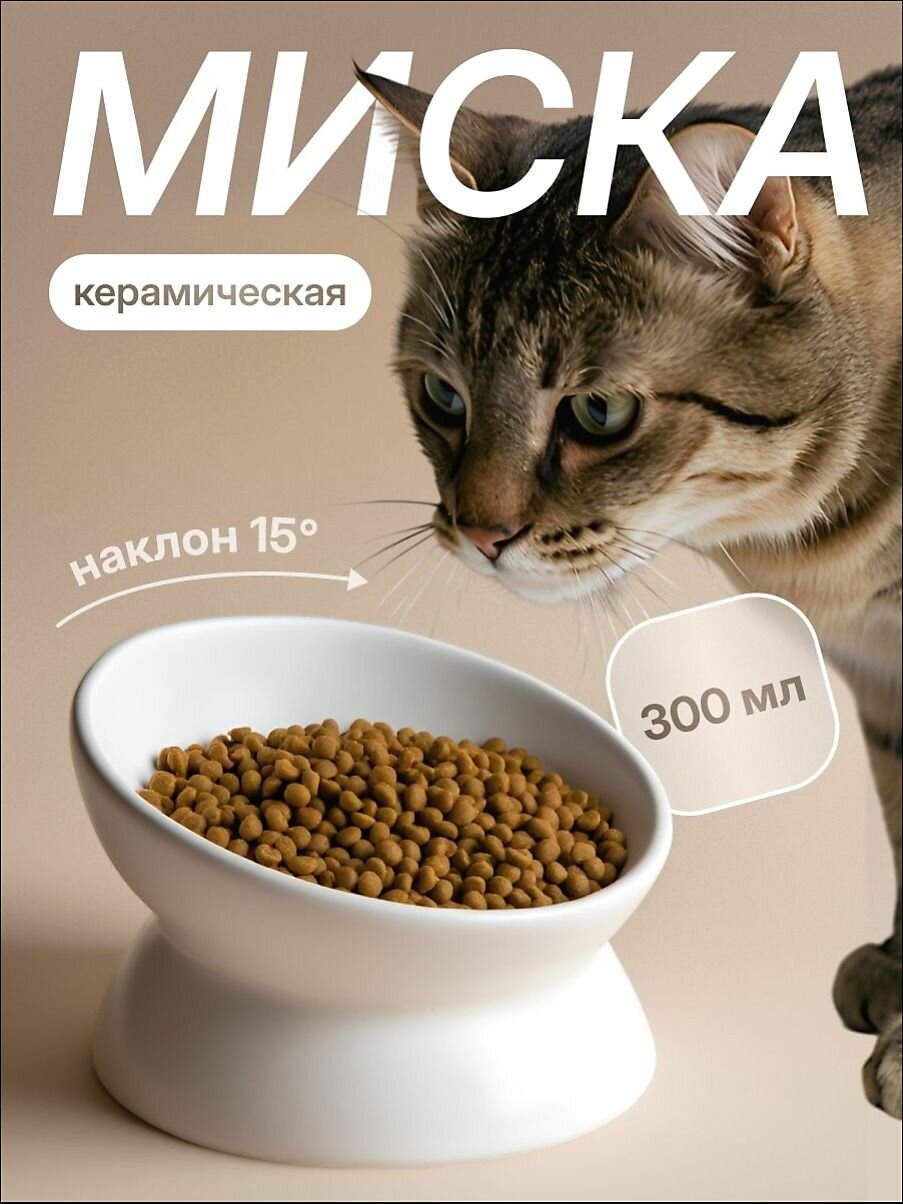 Миска для кошек и собак мелких пород, керамическая, с наклоном, на подставке (Белая)