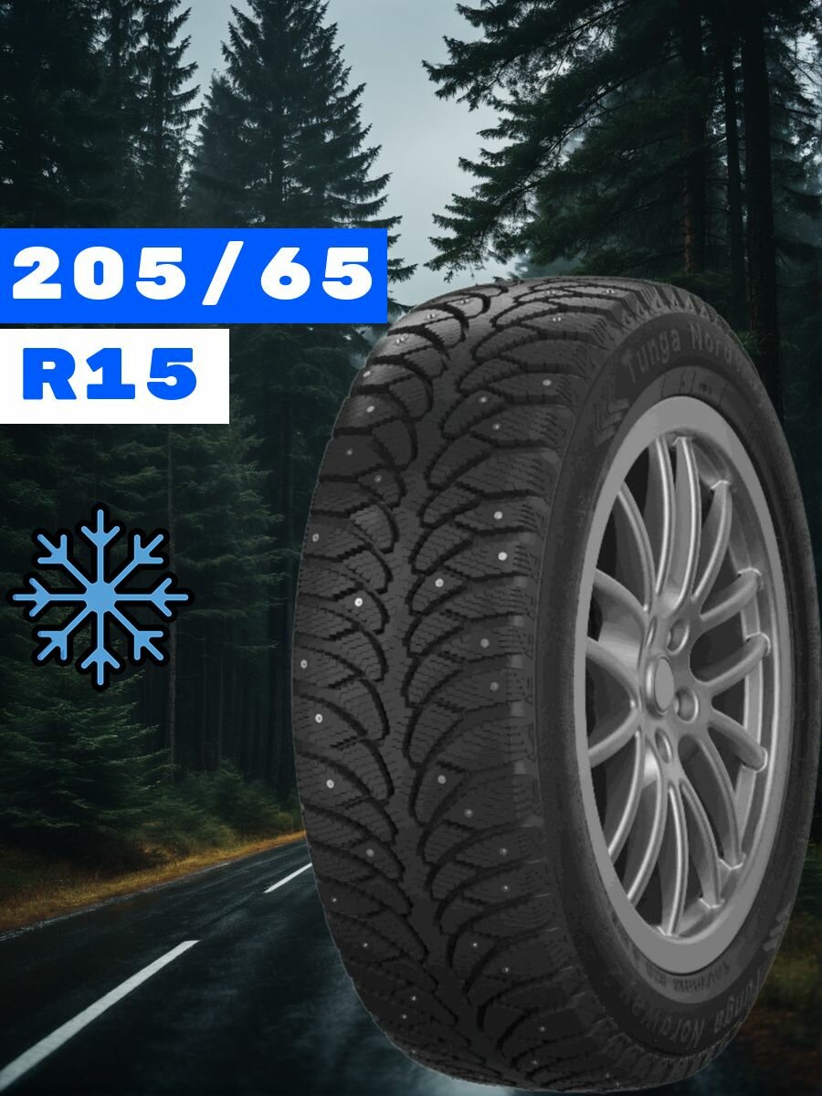 Автошина 205/65R15 91Q NORDWAY 2 PW-5 TUNGA TBL ОШ