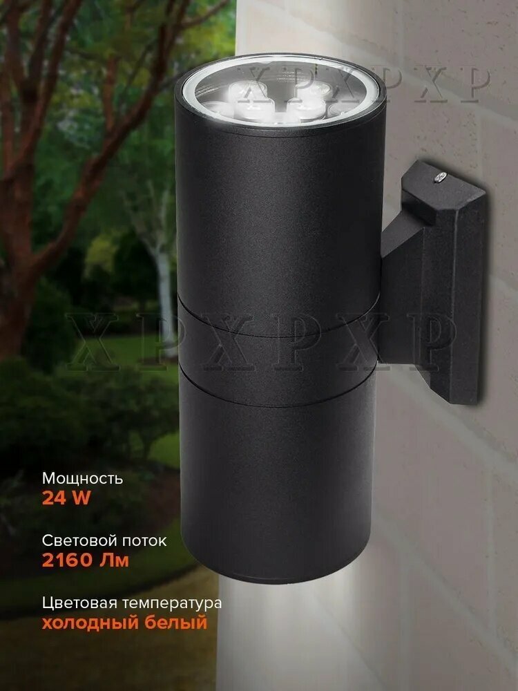 Фасадный светильник Jazzway PWL-300110/30D 2x12w 6500K