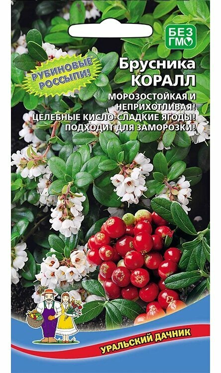 Семена брусники Уральский дачник Коралл, среднеспелая, высокоурожайная, морозостойкая, 20 шт