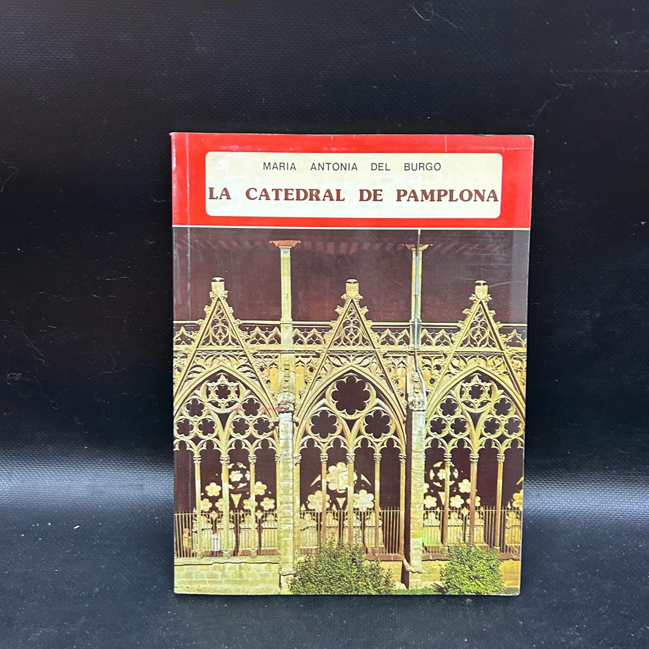 LA CATEDRAL DE PAMPLONA / Кафедральный собор Памплоны. На испанском языке