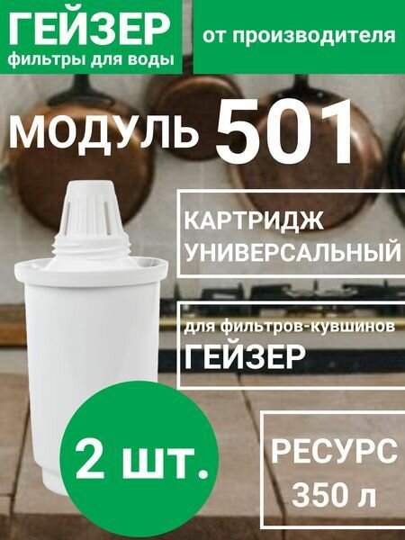 Набор картриджей для фильтра-кувшина 501, 2 шт, ресурс 350 л, комплексная очистка воды, 50032 фильтр-кувшин картриджи для фильтра очистка воды