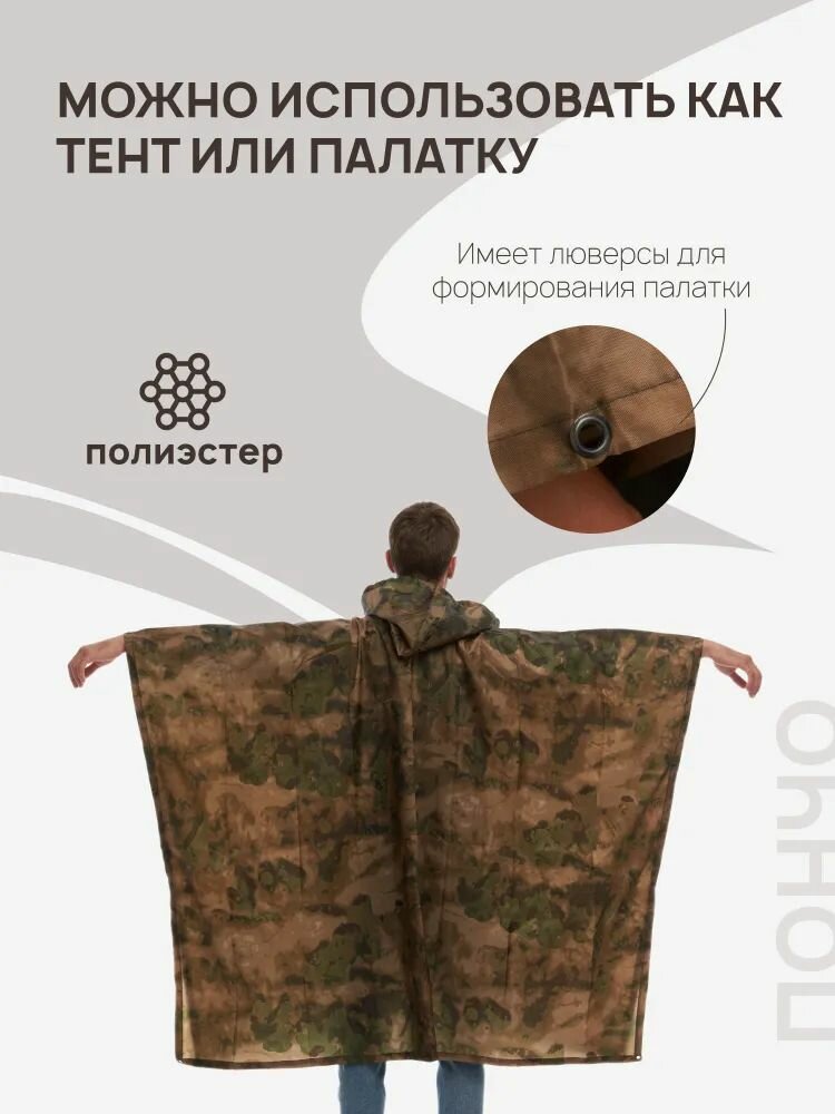 Дождевик эгистактик — фото 1