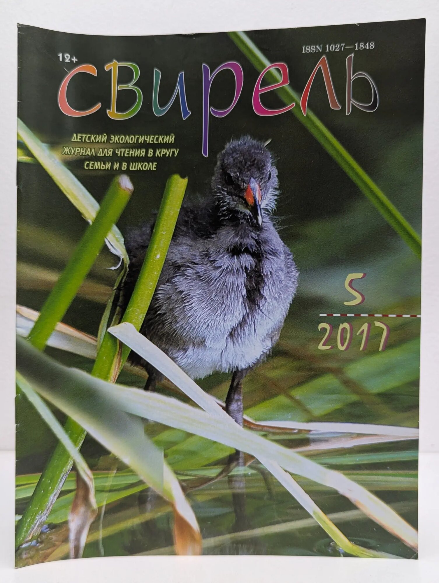 Свирель. Выпуск № 5/2017 Скороходов Максим (ред.) 2017