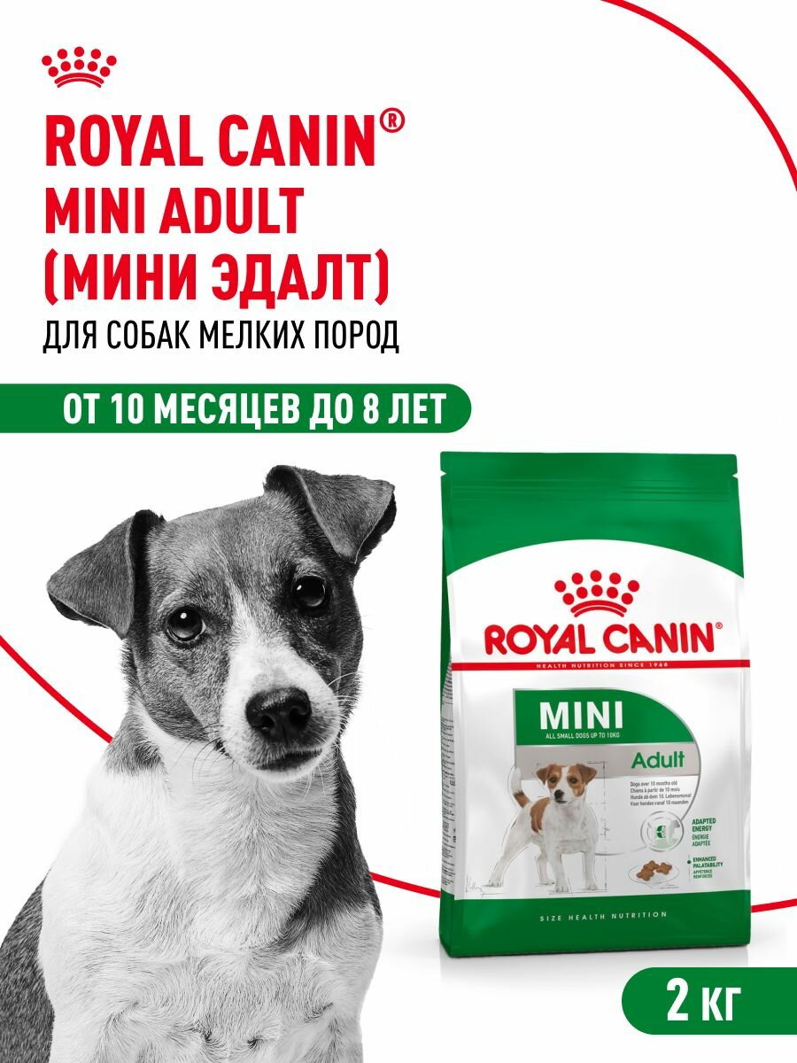 Сухой корм для собак Royal Canin Mini Adult для мелких пород, 2 кг