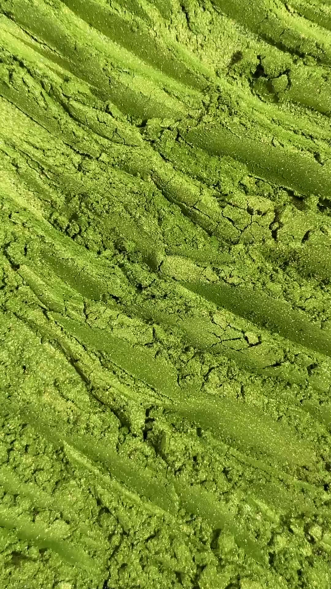 Сухой пигмент для эпоксидной смолы и творчества Moray, 25мл EPOXYMASTER — фото 1