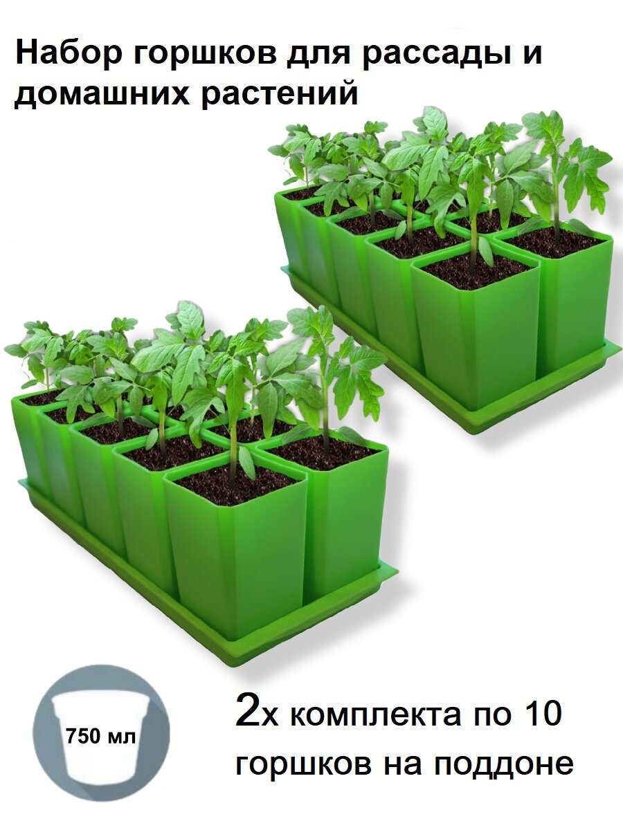Горшки для рассады и цветов, комплект из 2-ух наборов по 10 горшков на общих поддонах, зеленые