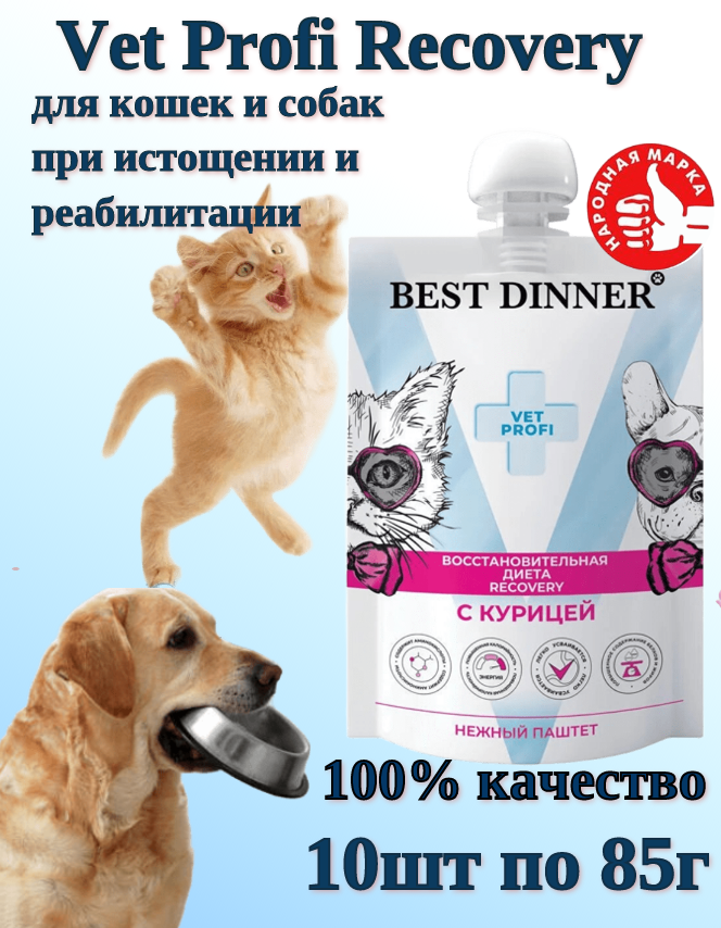 BD Vet Profi Recovery Корм влажный для кошек и собак при истощении и послеоперационном восстановлении, 10шт по 85гр