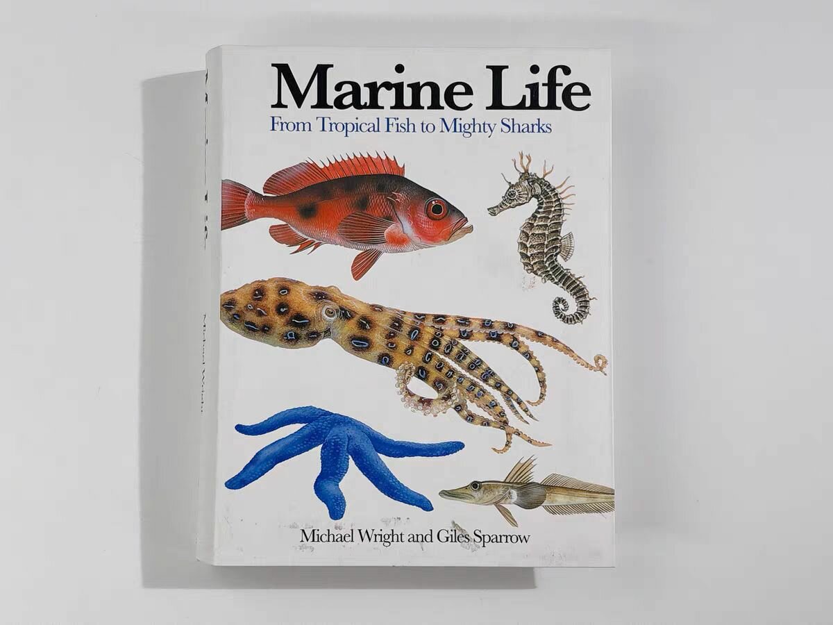 Книга Michael Wright "Marine Life", мягкая обложка, на английском языке