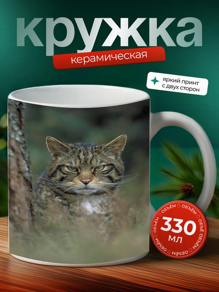 Кружка Венгерский болотный кот 36,