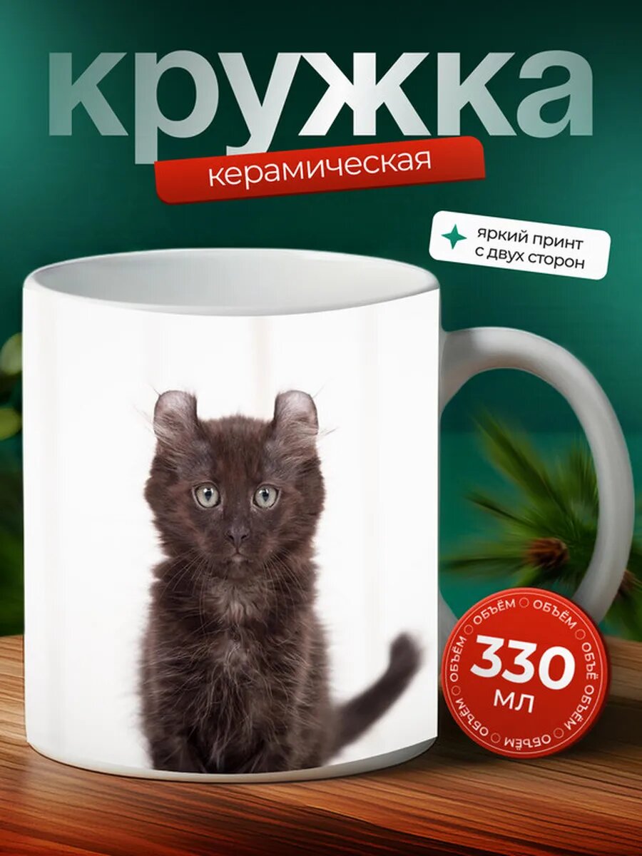 Кружка Американская жесткошерстная кошка 15,