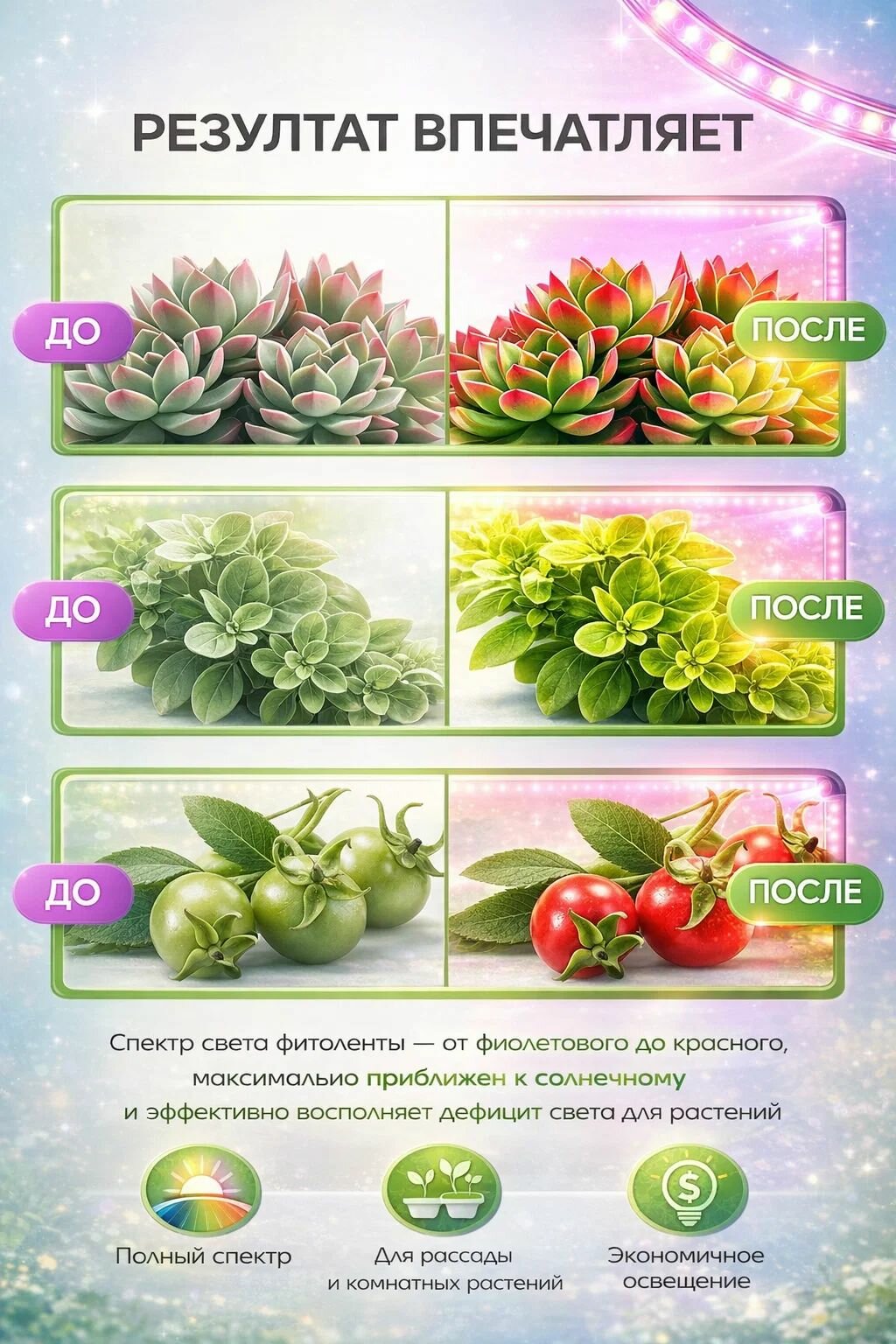 Фитолента светодиодная для растений и рассады DLED, 5 м, с блоком питания, розовый свет