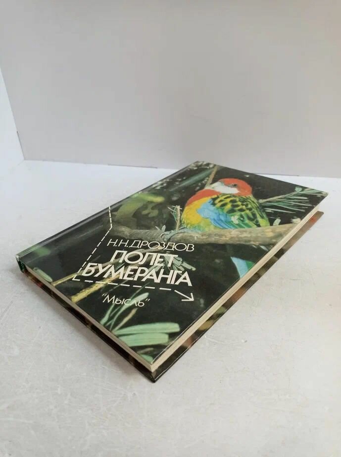 Полет бумеранга — фото 1