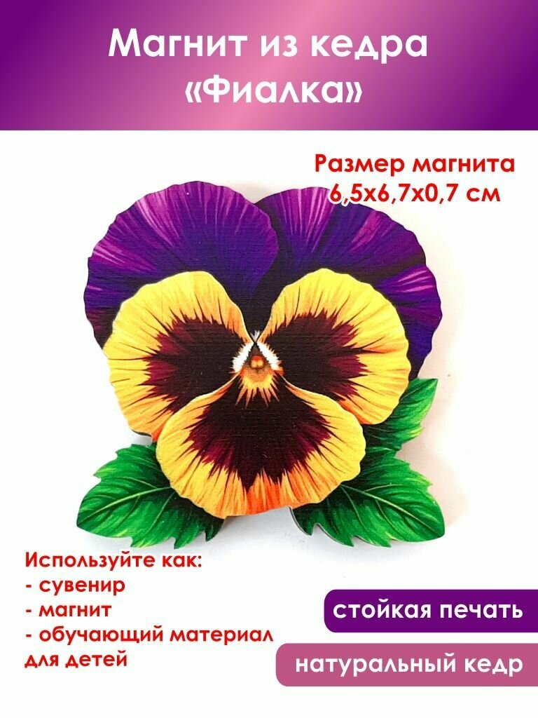 Магнит из кедра "Фиалка", АнСоло, размер 6,5х6,7 см, толщина 7 мм.