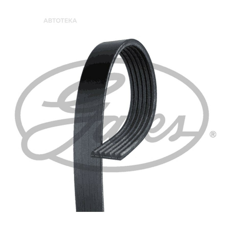 XF Ремень поликлиновой GATES 6PK1670