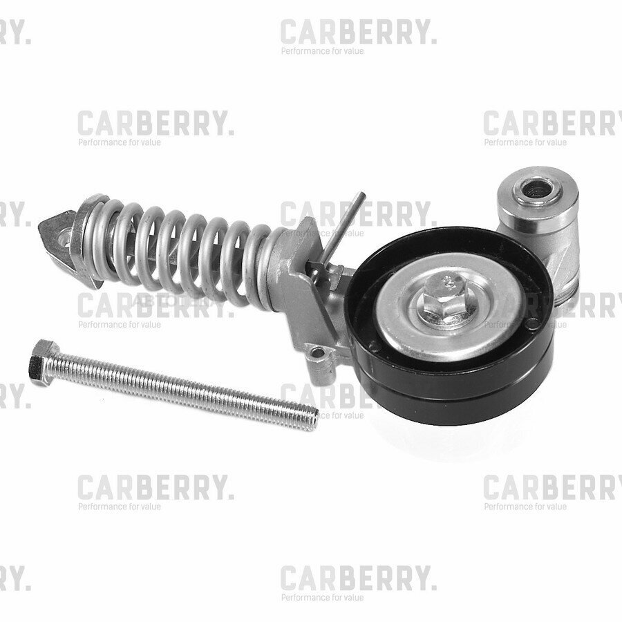 Натяжитель ремня приводного OPEL ASTRA H/CORSA D 1.0-1.4 CARBERRY 55CA256