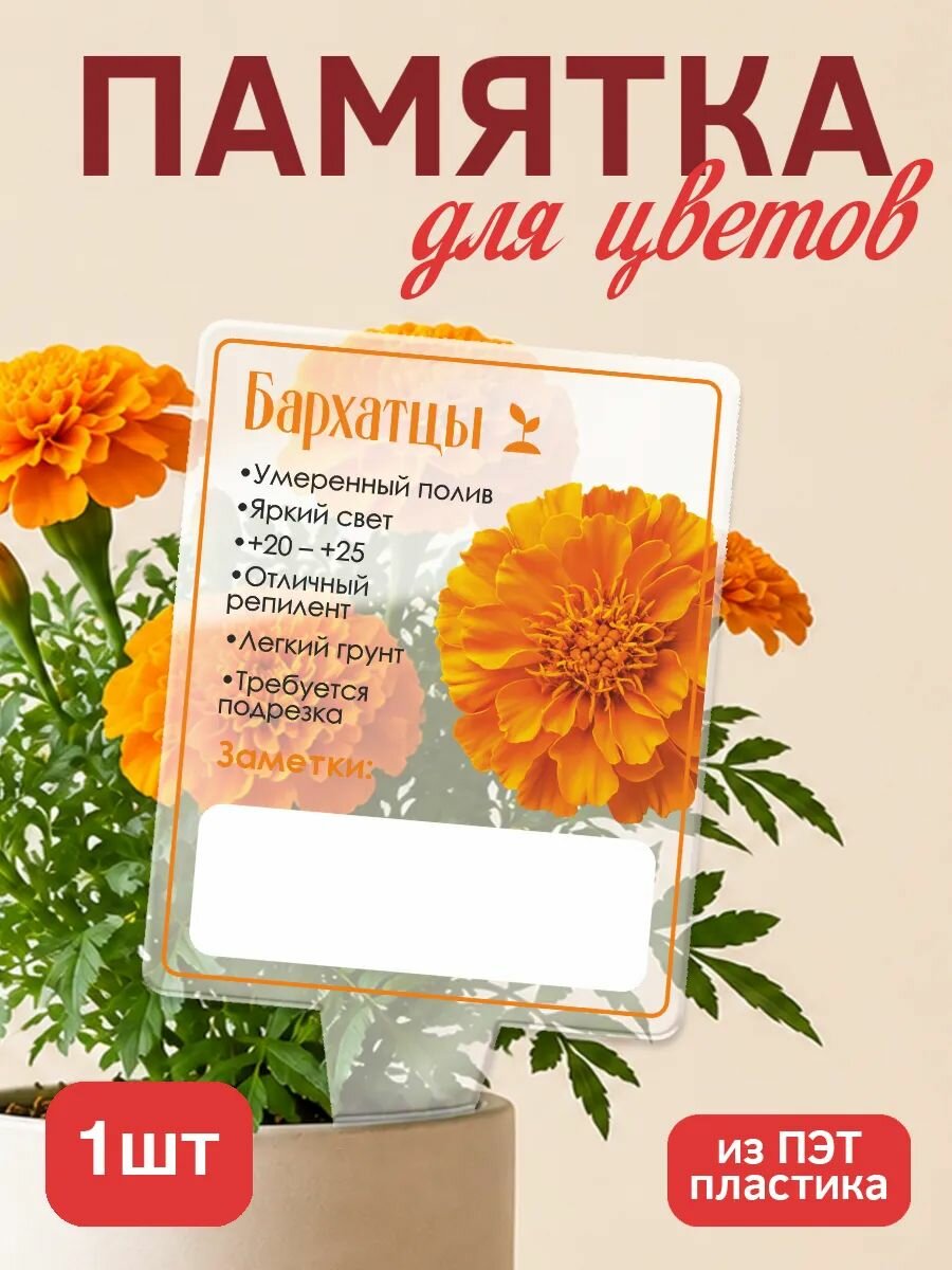Памятка по уходу за цветами Бархатцы