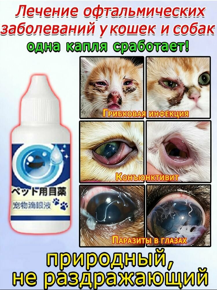 Лечебные глазные капли для питомцев