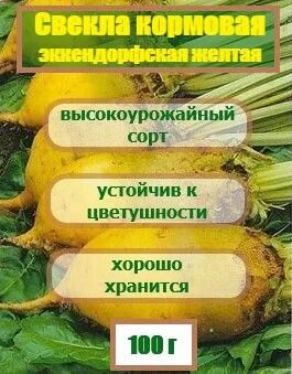 Свекла кормовая "Эккендорфская желтая", семена 100гр