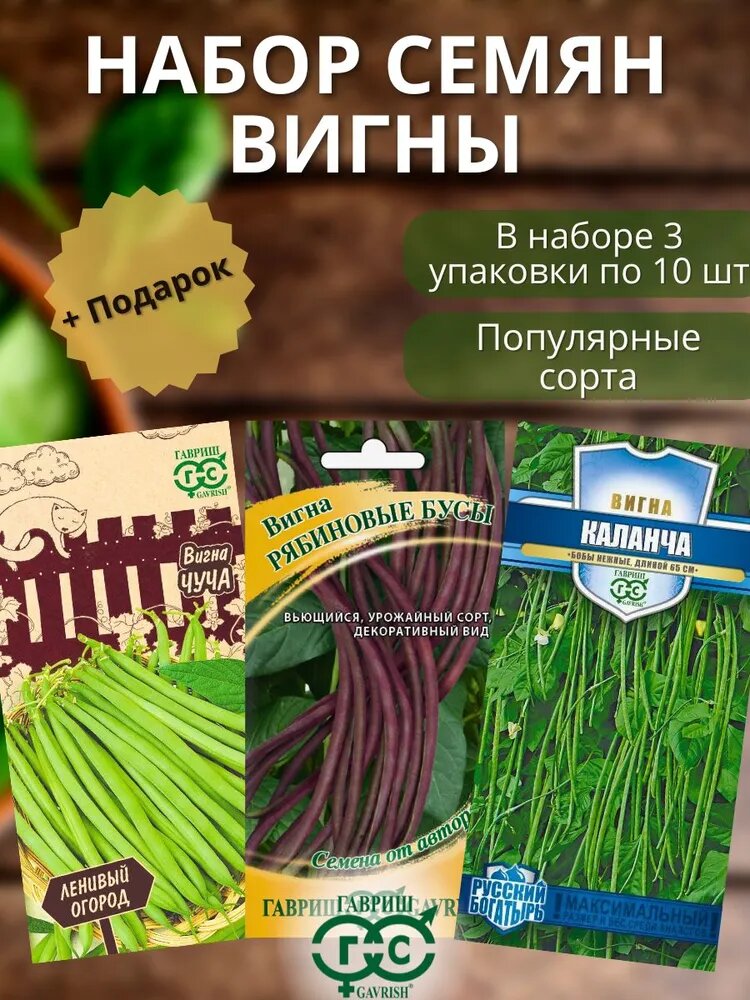 Вигна семена спаржевая вьющаяся Каланча